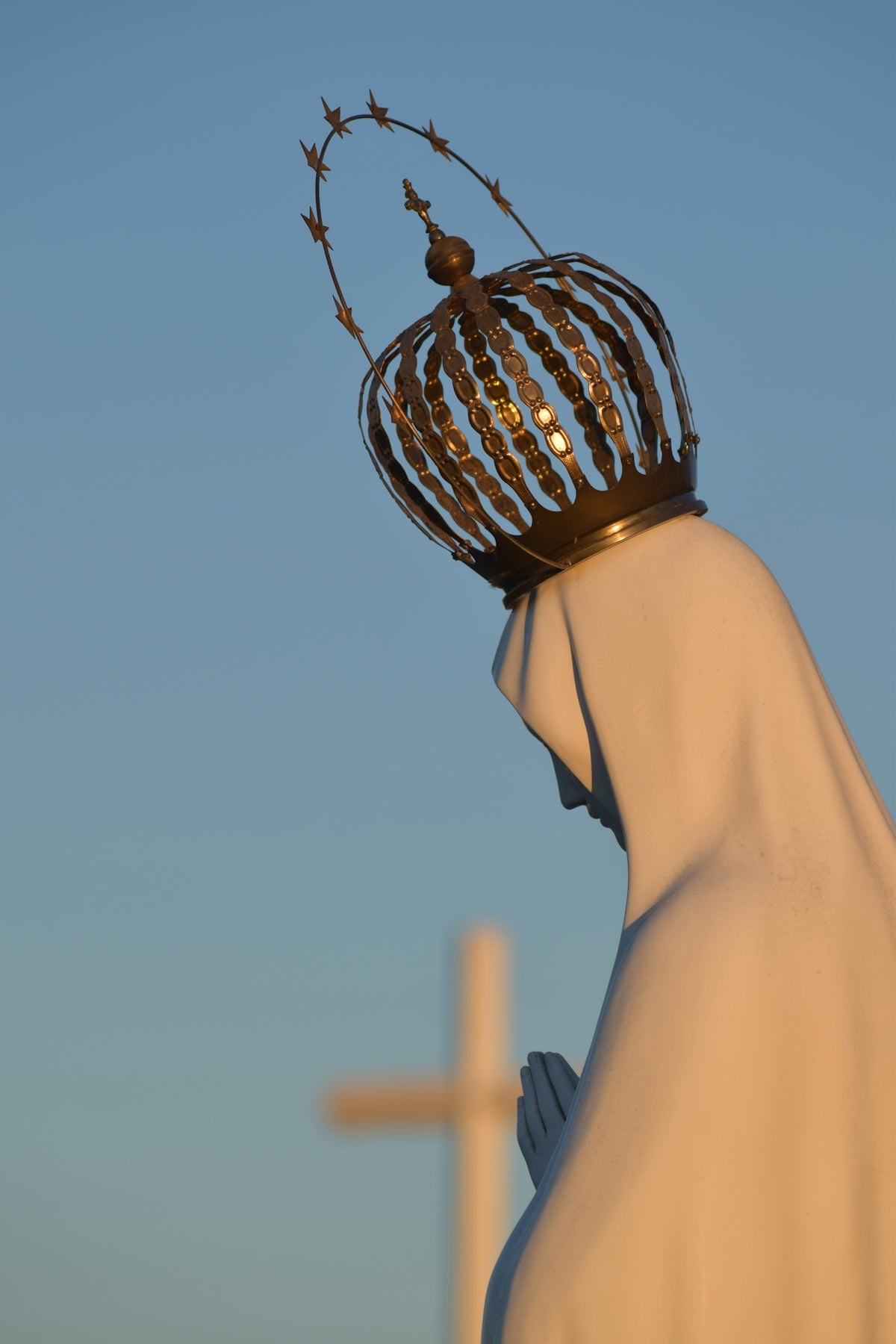 Discover the Miracles of Our Lady Revealed – CatholicShop.com