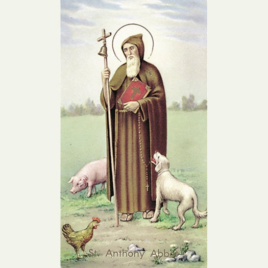 100-Pack - St Anthony Abbott Holy Card – CatholicShop.com
