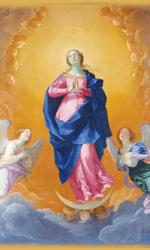 Immaculate Conception Stickers - 5-Pack – CatholicShop.com