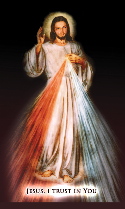 Divine Mercy Holy Cards - 25-Pack – CatholicShop.com