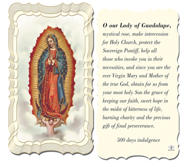 50-Pack - Our Lady Of Guadalupe Mystical Rose Holy Card – CatholicShop.com