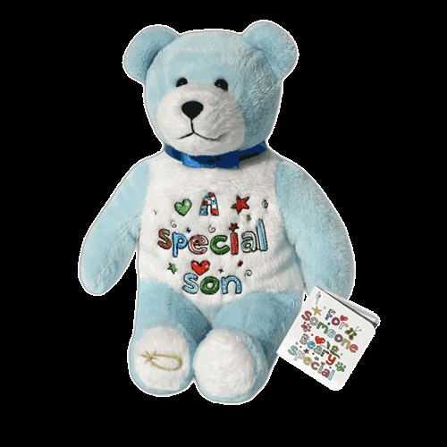 A Special Son Holy Bear - Catholic Gift – CatholicShop.com